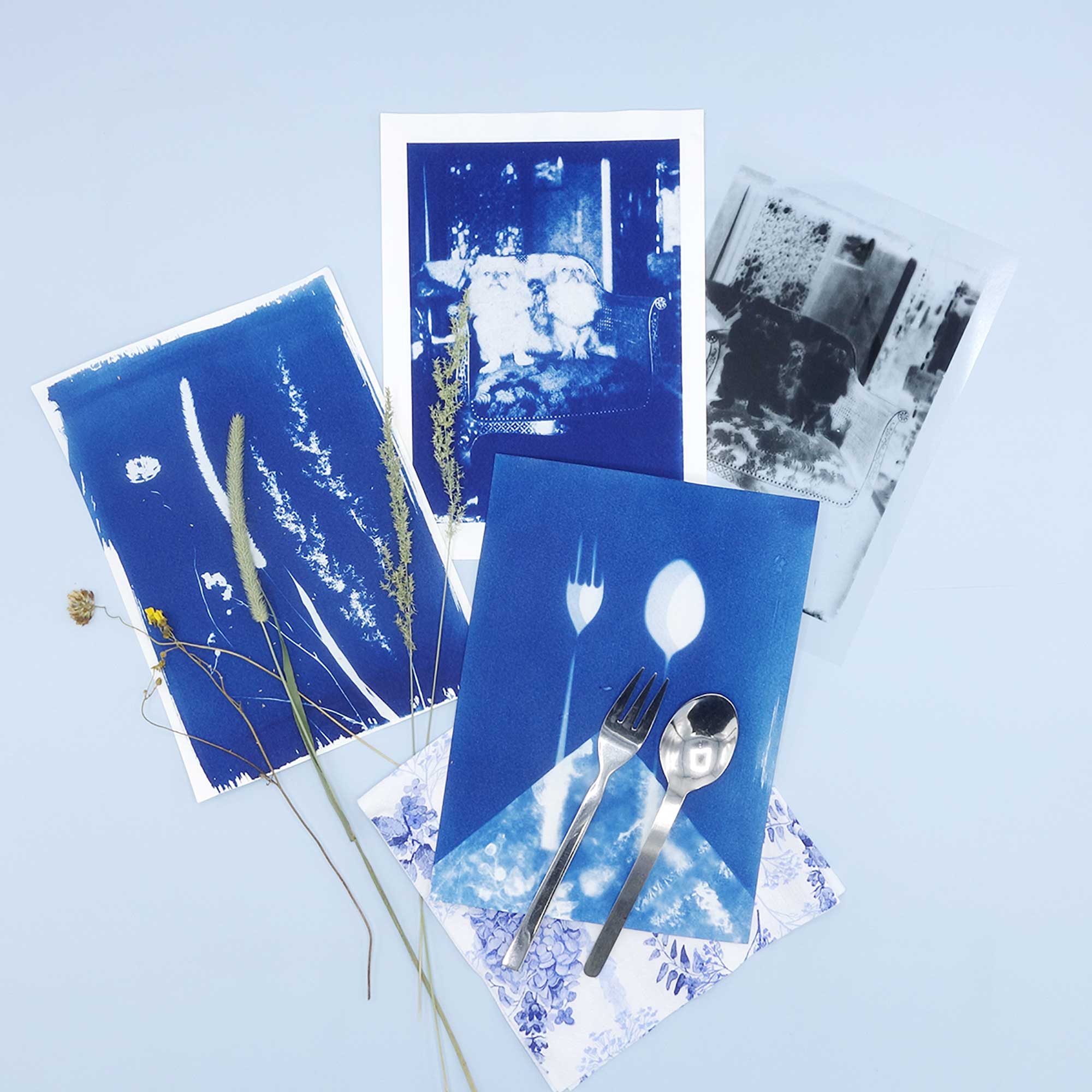 DIY Cyanotype kit - Papier - Print-art-read