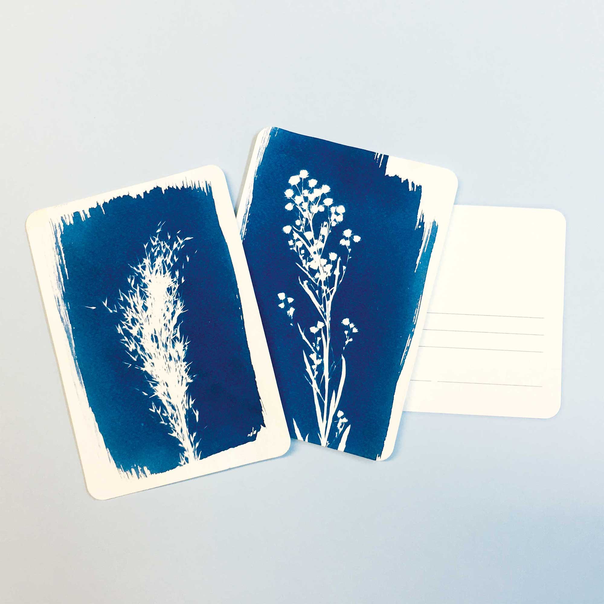 DIY Cyanotype kit - Postcard - Print-art-read